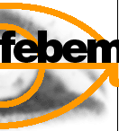 FEBEM, UM NOVO OLHAR - História